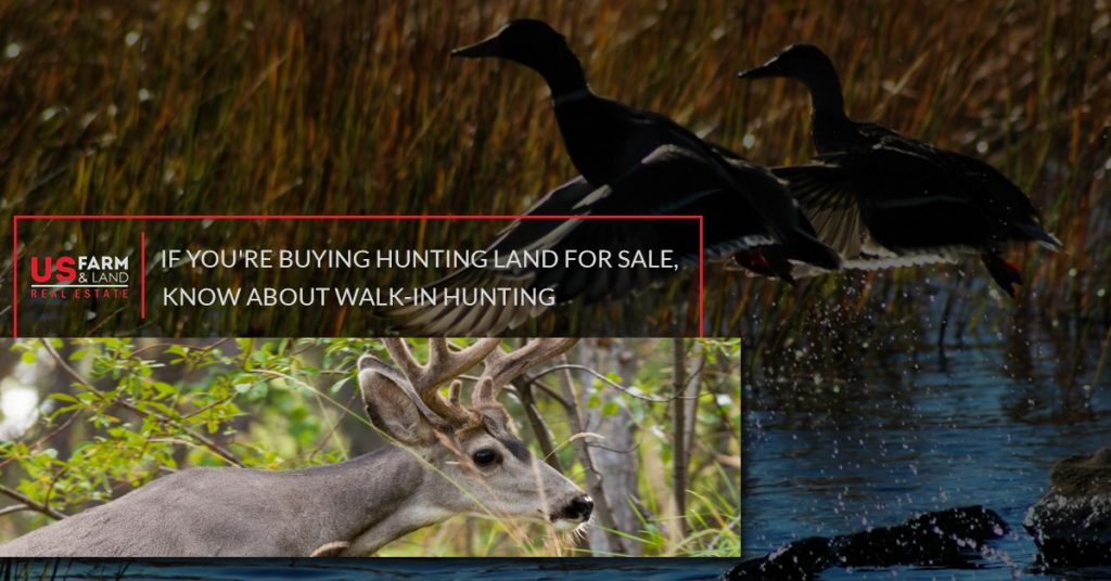 If You're Buying Hunting Land For Sale, Know About Walk-In Hunting - US ...